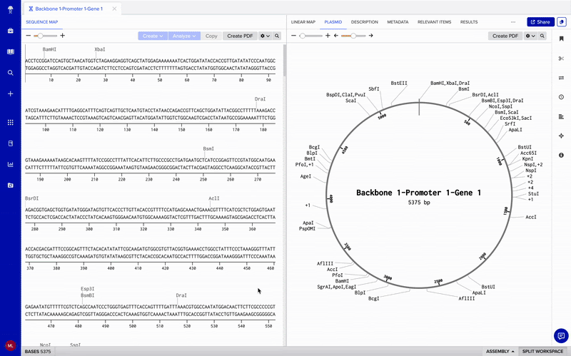How to use the combinatorial cloning and concatenation assembly tools – Benchling