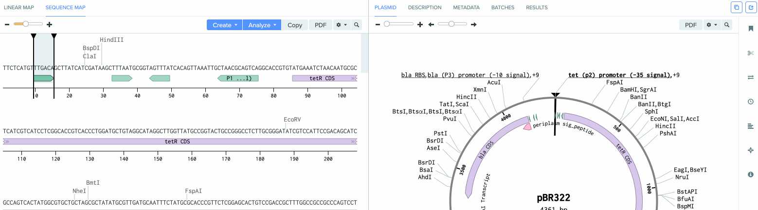Search Sequences For Features Benchling